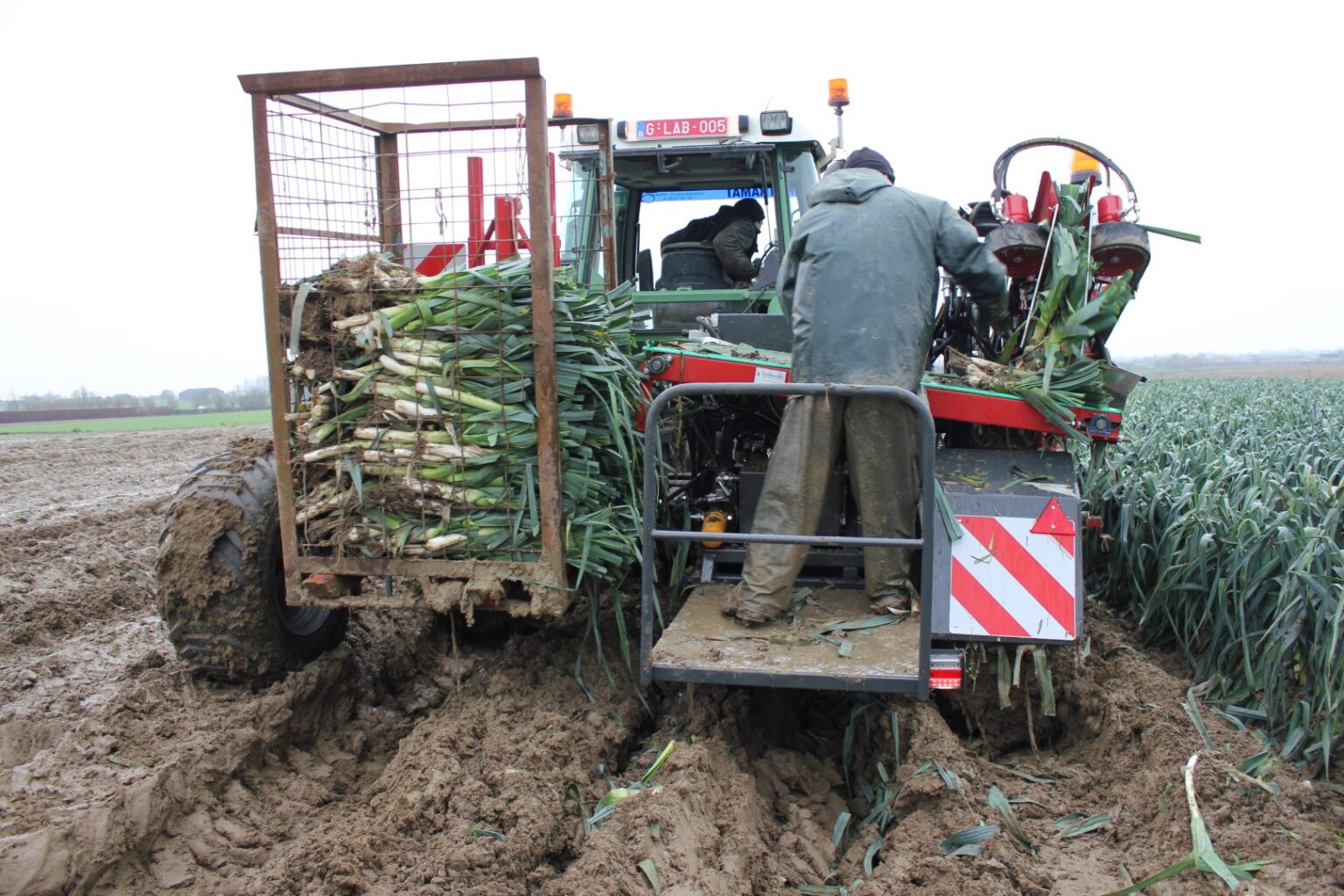 Oogsten | Vanhoucke Machine Engineering